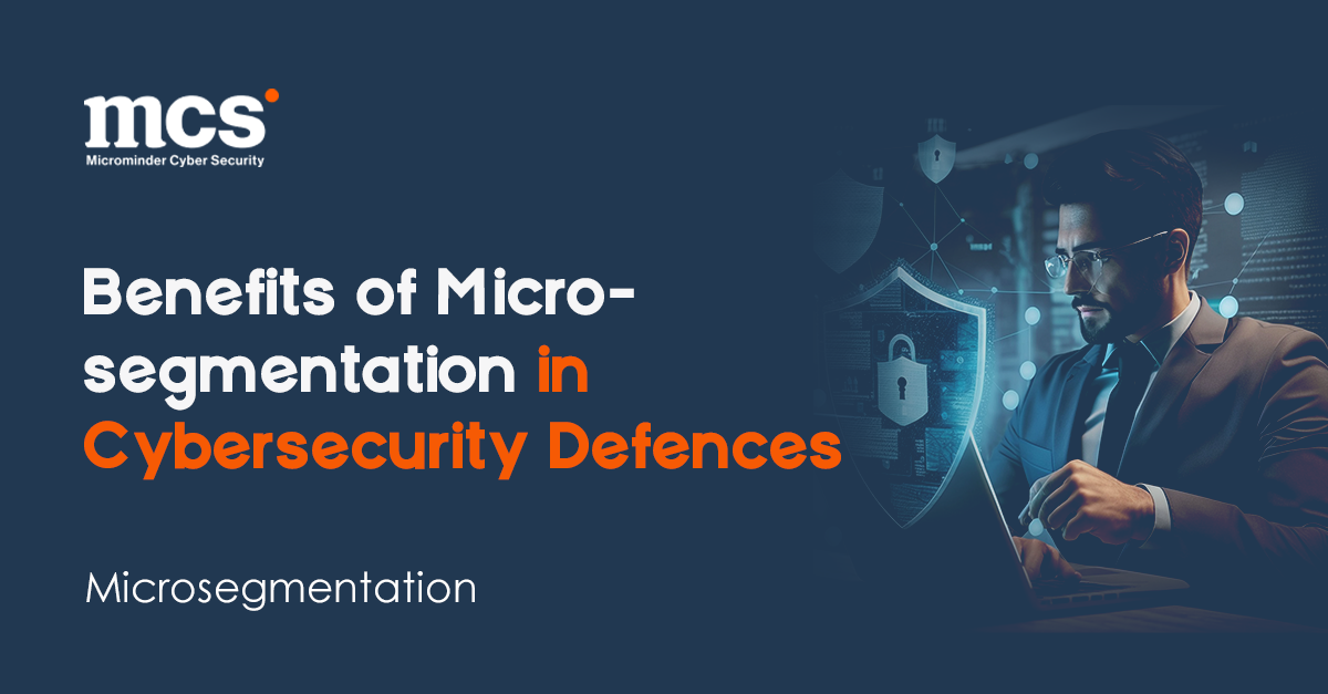 Benefits of Microsegmentation: Building Stronger Cybersecurity Defences | Microminder Cyber Security